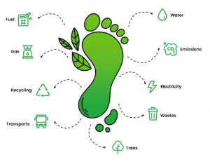 Figure 1 – Schematic diagram of carbon footprint